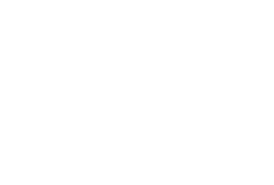 Home - Caledonia Insulation Services